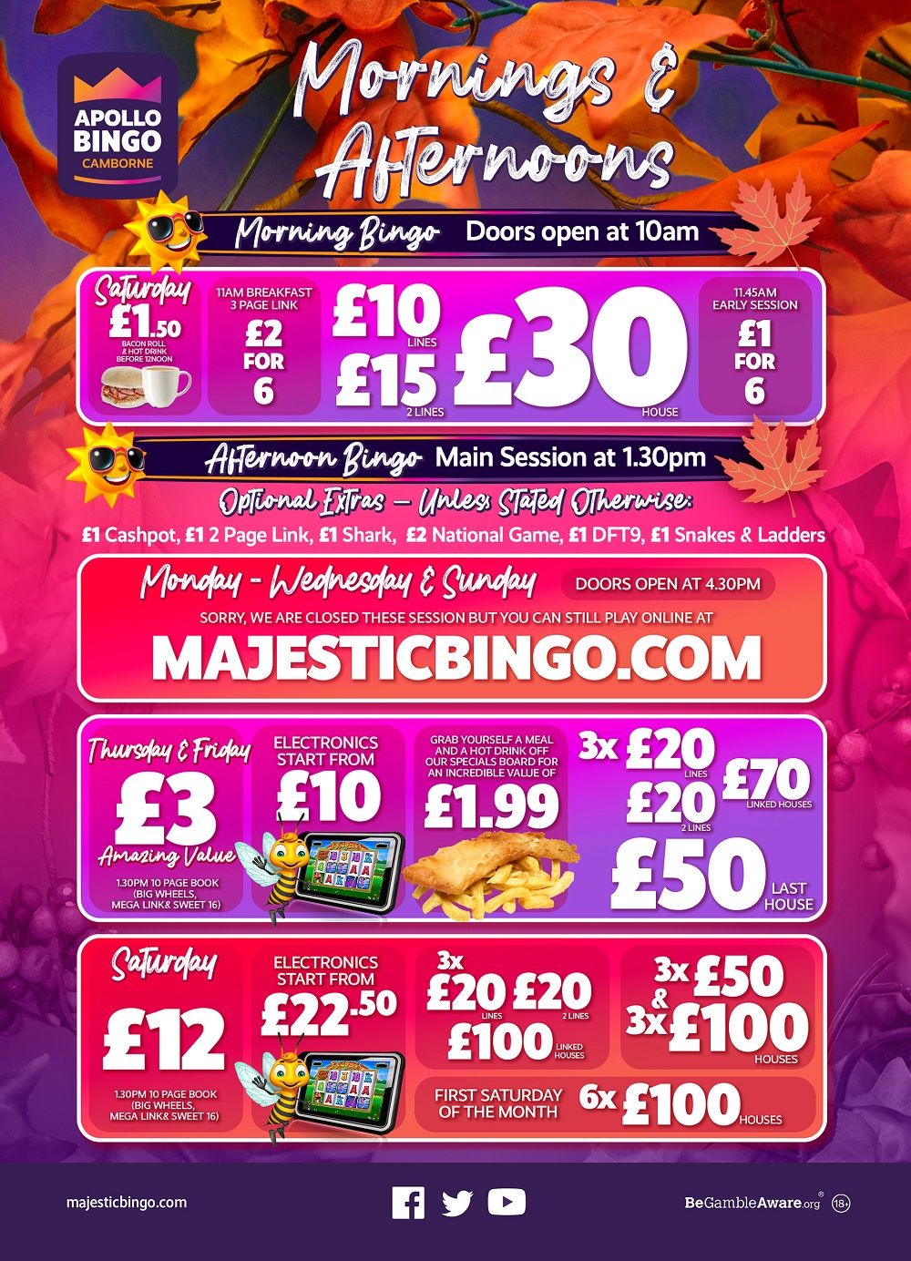 Majestic Bingo | Apollo Camborne